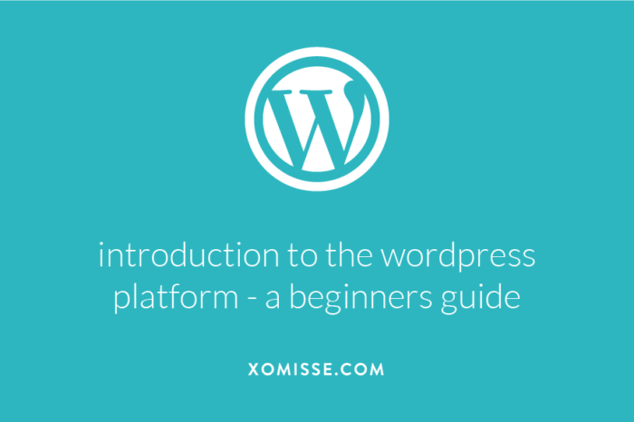 How To Install And Setup Self Hosted Wordpress In 4 Easy Steps