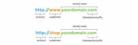 Domains 101: complete guide to purchasing a domain for your blog