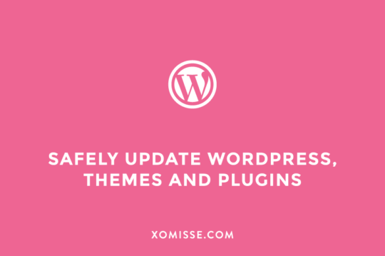 How To Safely Update Wordpress Themes And Plugins